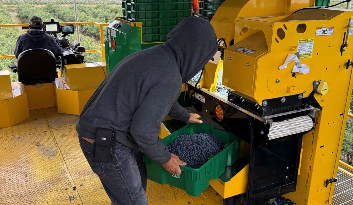 Oxbo Autofill Wins 2026 AE50 Award - Wine Industry Advisor